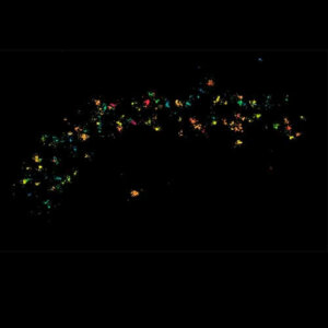 MINFLUX - @abberior.rocks