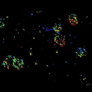 MINFLUX - @abberior.rocks