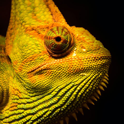 FLEXPOSURE adaptive illumination