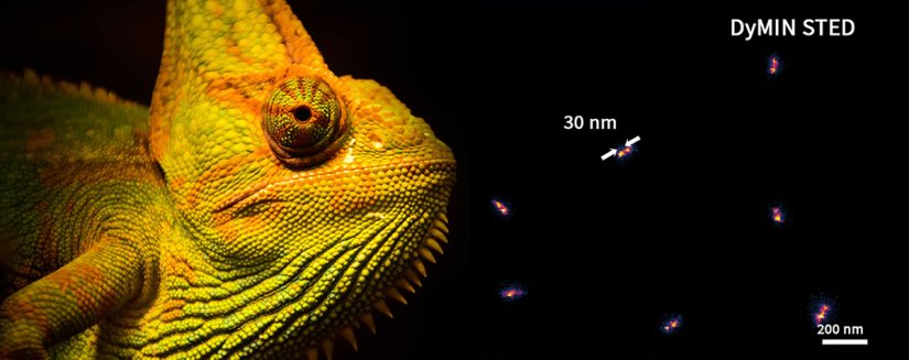 Knowledge Base Archive - @abberior.rocks